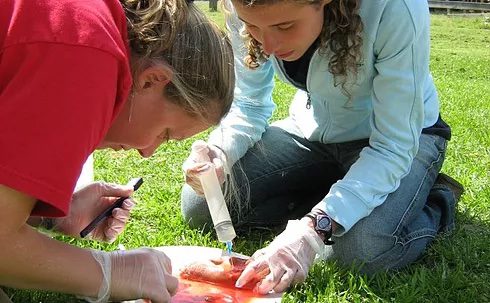 Risk Management for Outdoor Programs - Viristar